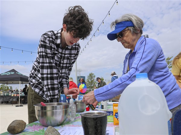 'We’ve only got one': Experts preach sustainability at EcoFest | The Blade