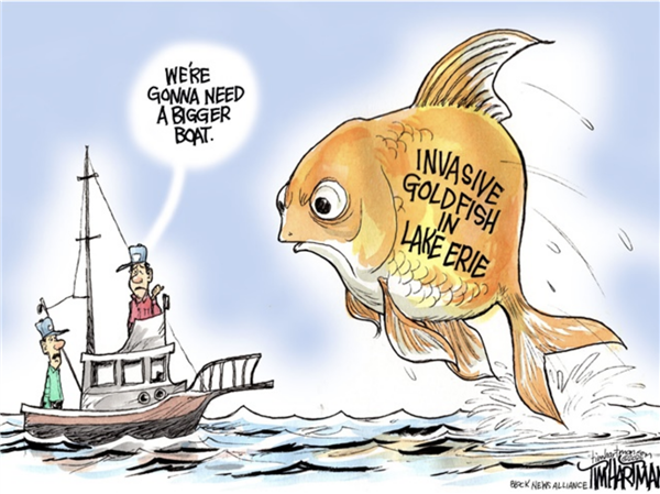 Editorial Cartoon: Tim Hartman - 5/11 | The Blade
