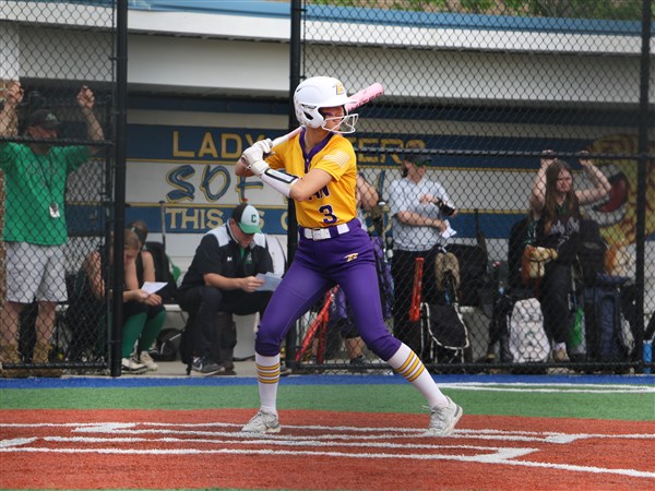 Bryan softball punches ticket to regional finals with close victory ...