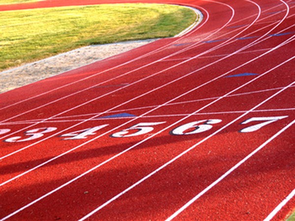 High school track and field: Perrysburg headlines bevy of local state ...