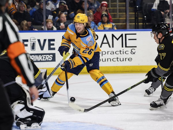 Highly productive Walleye defenseman McCourt signs to play in Sweden ...