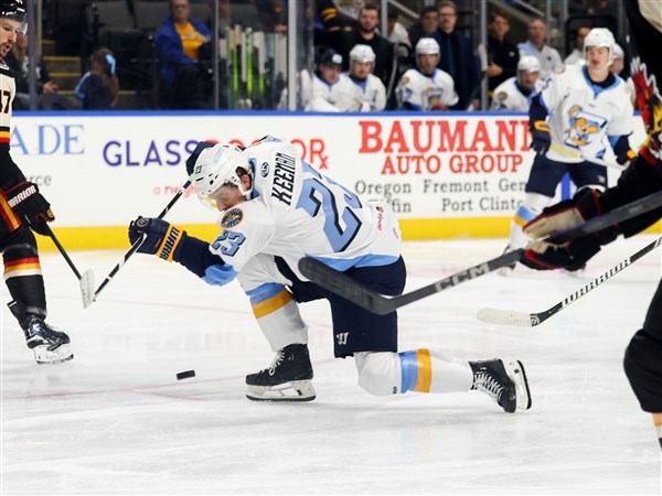 Walleye reveal protected list heading into offseason | The Blade